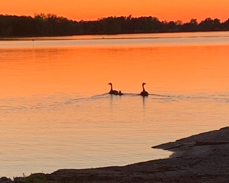 Lake Champlain Sunset Cruise | Champlain Island Magical Boat Tours